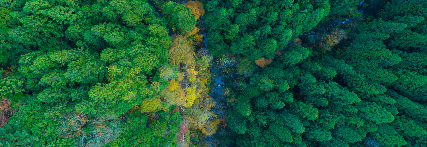 ATPI Halo Launches | ATPI