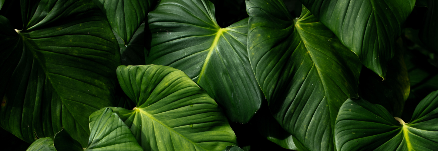 De nieuwe EU-richtlijn voor duurzaamheidsverslaglegging | ATPI