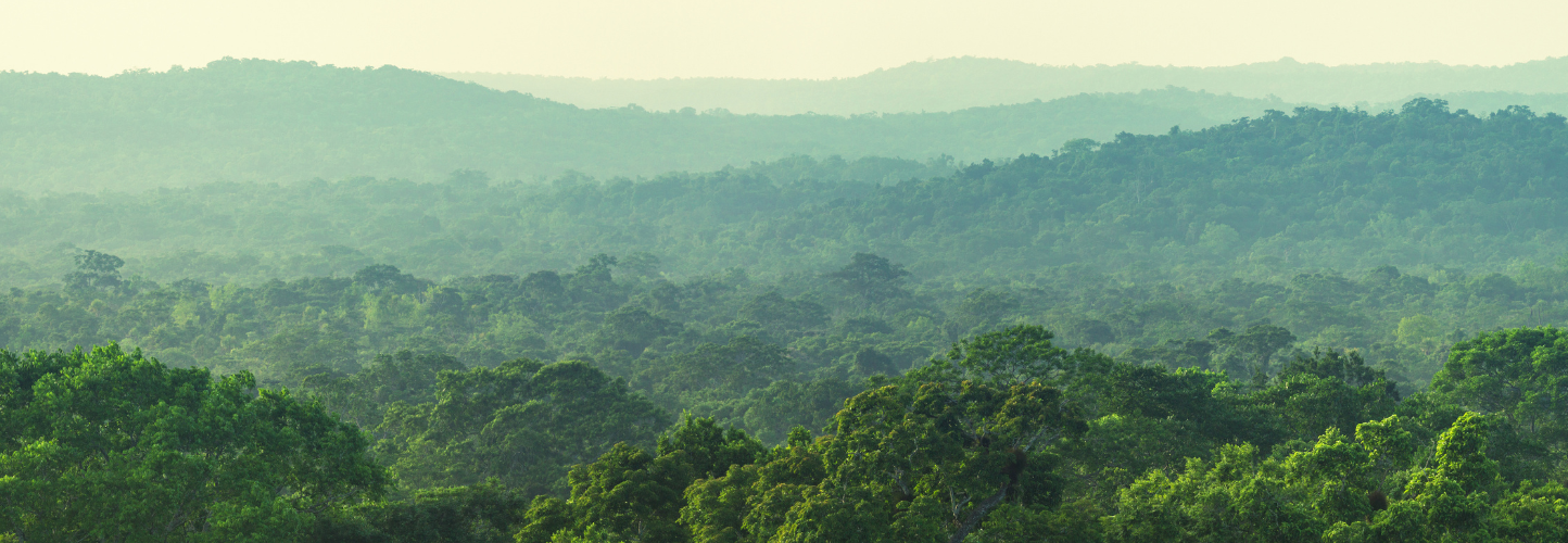 Environmental Sustainable Solutions: Direct ATPI | ATPI