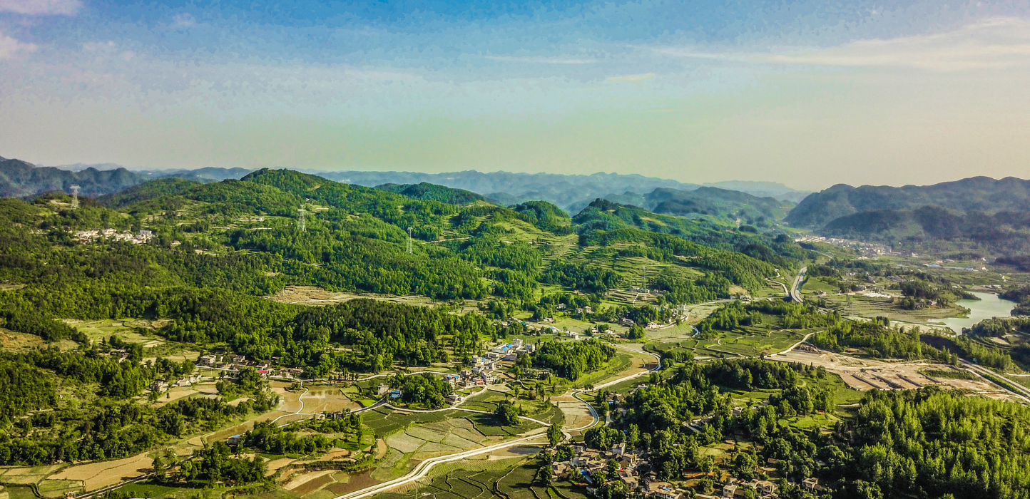 Qianbei Afforestation | ATPI